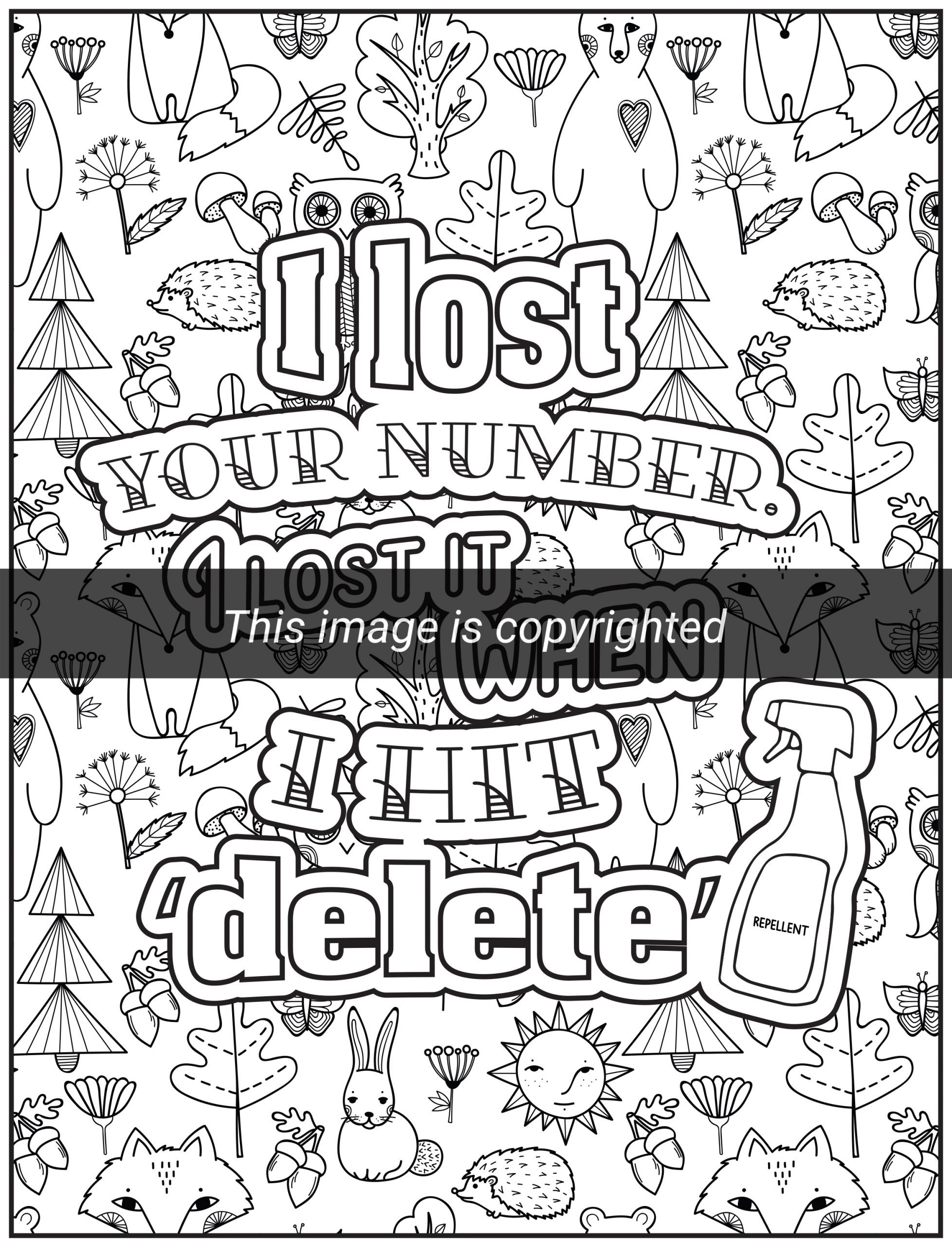 A Snarky Coloring Book for Adults - Creative Mandala - Coloring Books