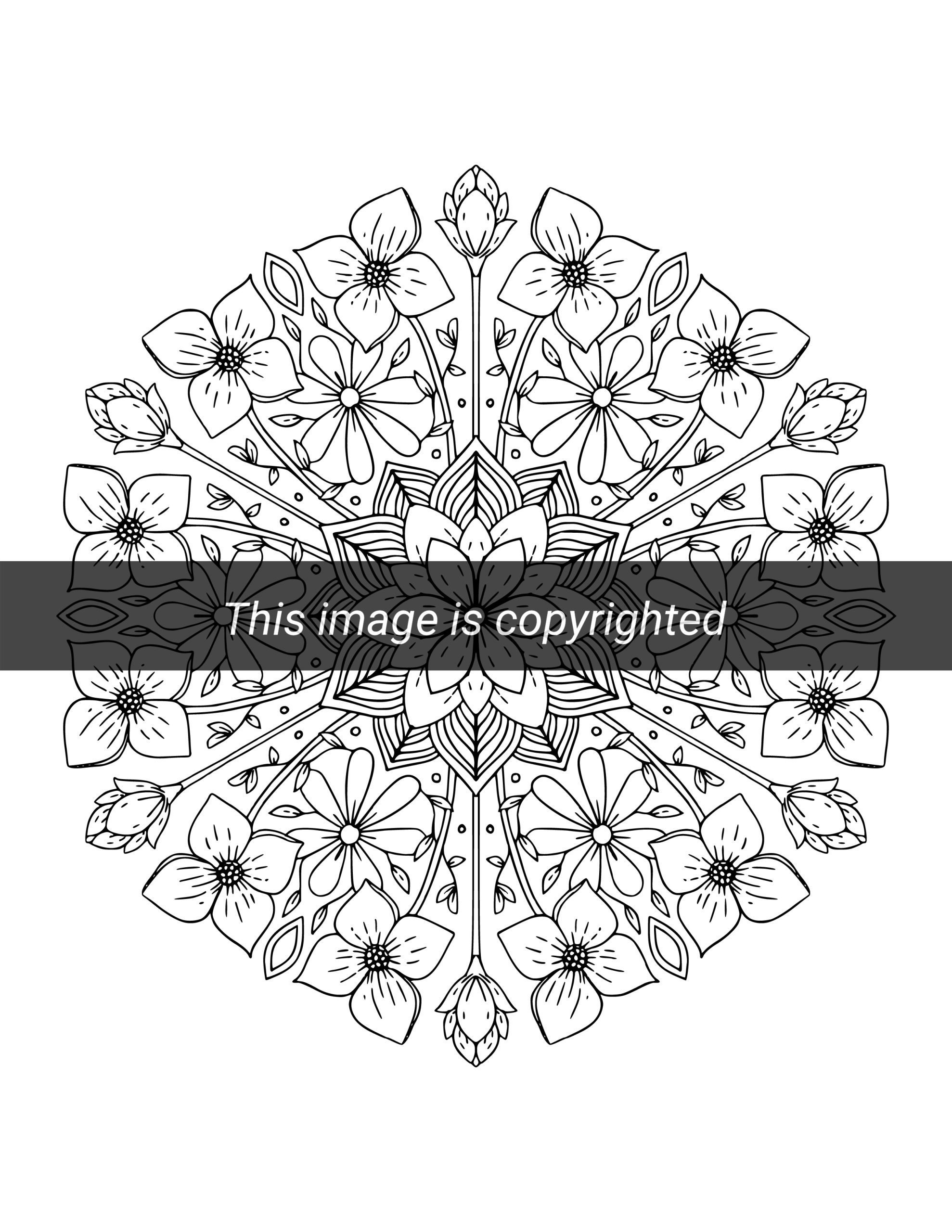 Creative Mandalas - Coloring Book for Adults - Creative Mandala ...