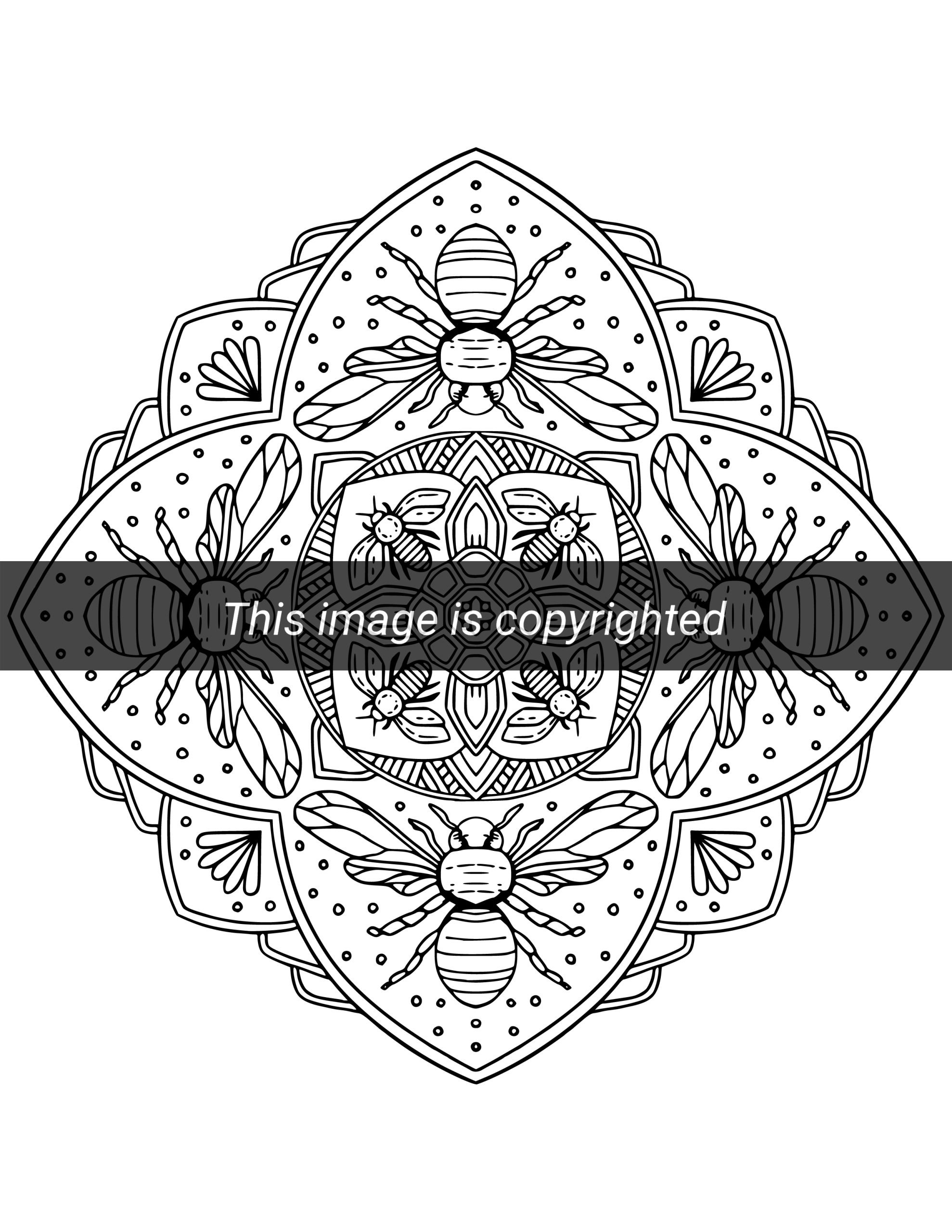 Creative Mandalas - Coloring Book for Adults - Creative Mandala ...
